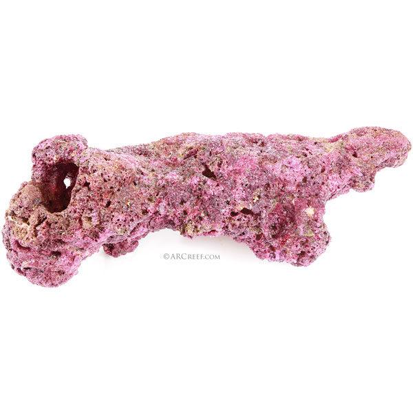 Premium Live Rock for Aquarium Saltwater Fish Tanks | Arc Reef