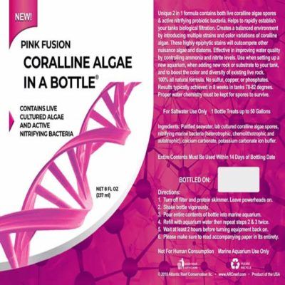 Pink Fusion Coralline Algae in a Bottle, by ARC Reef
