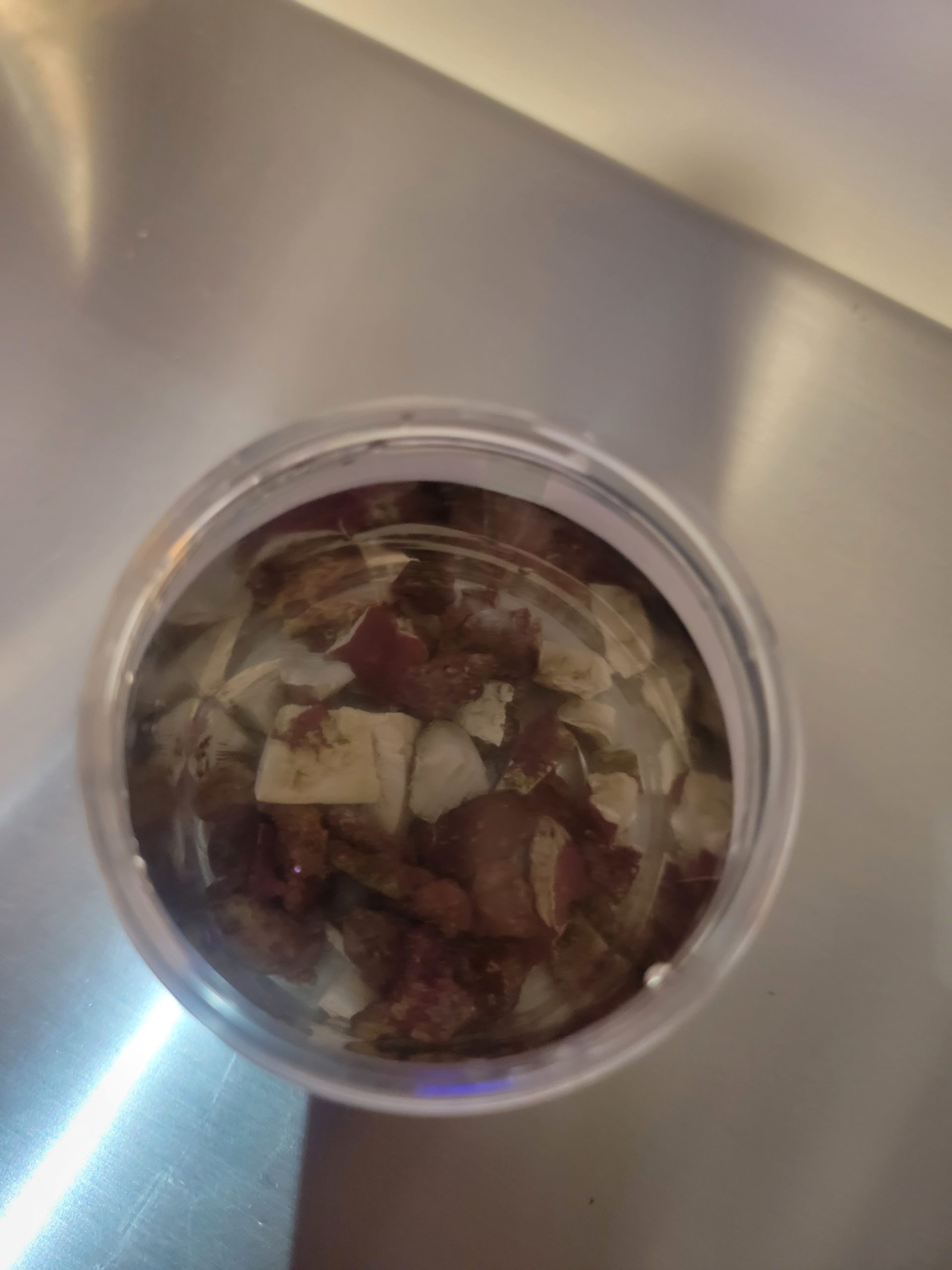 CCAᐩ- Crustose Coralline Algae - by ARC Reef